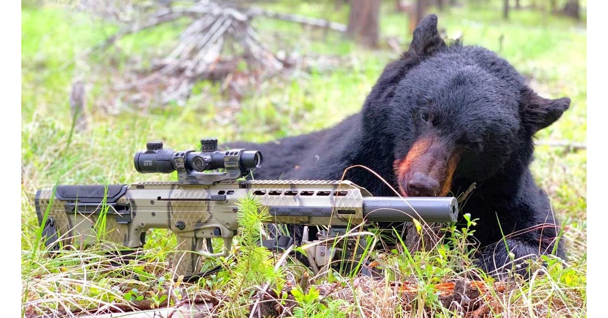 Bear Hunting 101: Best Guns and Cartridges