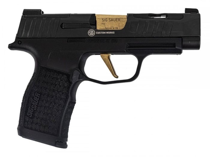 Sig Sauer P365 Pistol :: Guns.com
