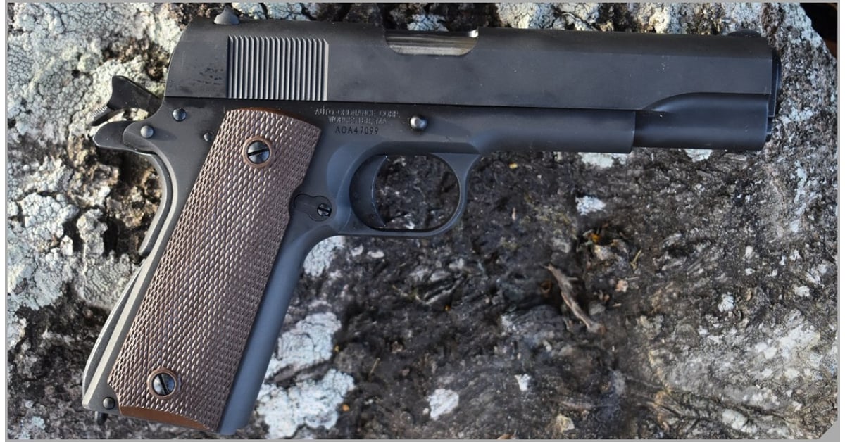 If You Can Take It There: 'Red Flag' Gun Seizures up 795% in NY