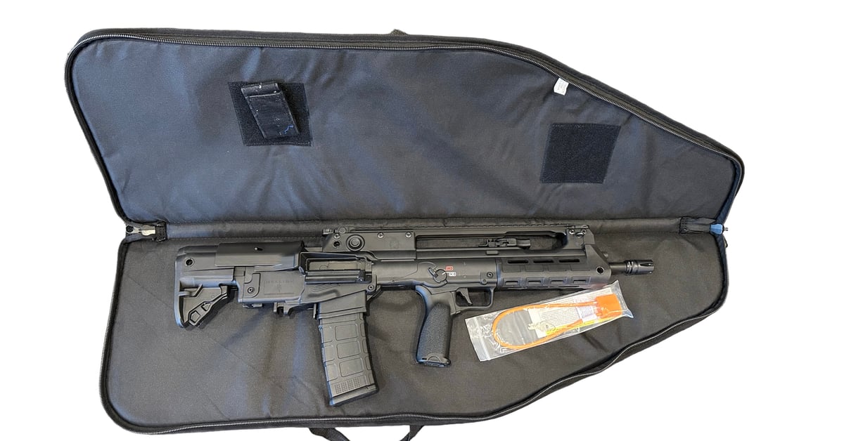 Springfield Armory Hellion - For Sale :: Guns.com