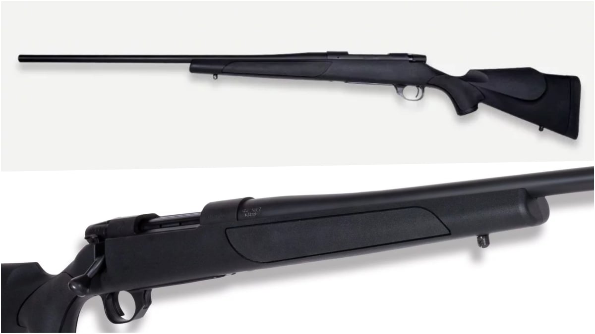 Weatherby Expands Vanguard Line with new Obsidian, Spike Camp Models