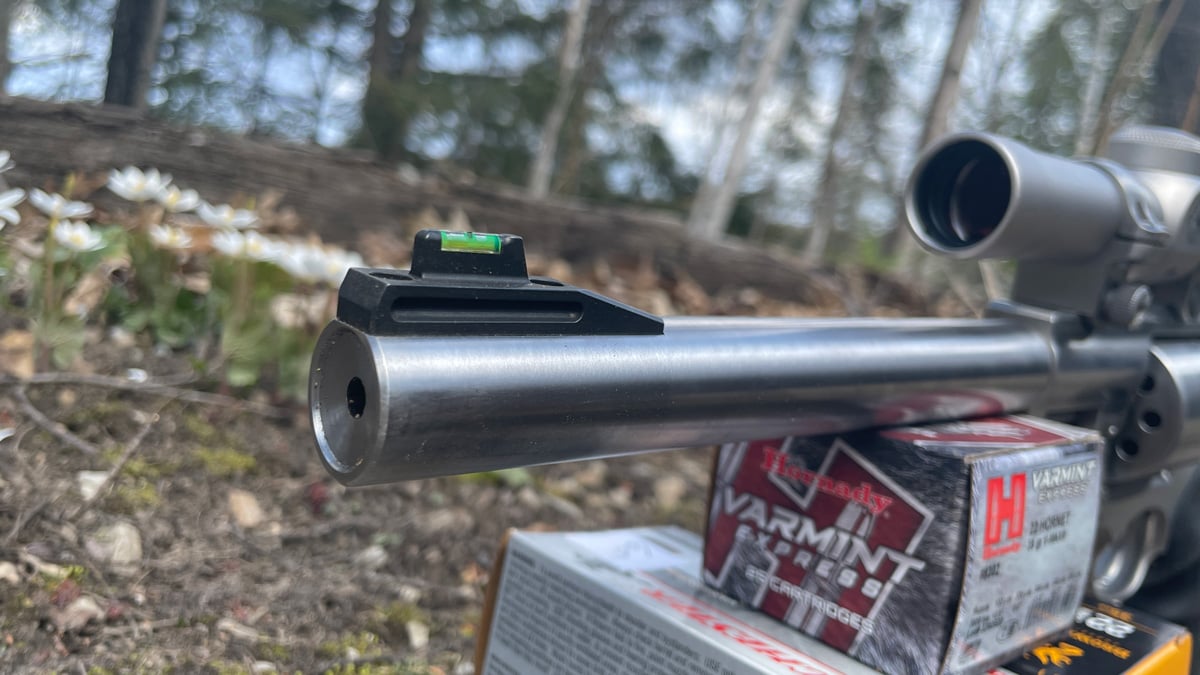Ruger Super Redhawk Hornet is Sneaky and Fast