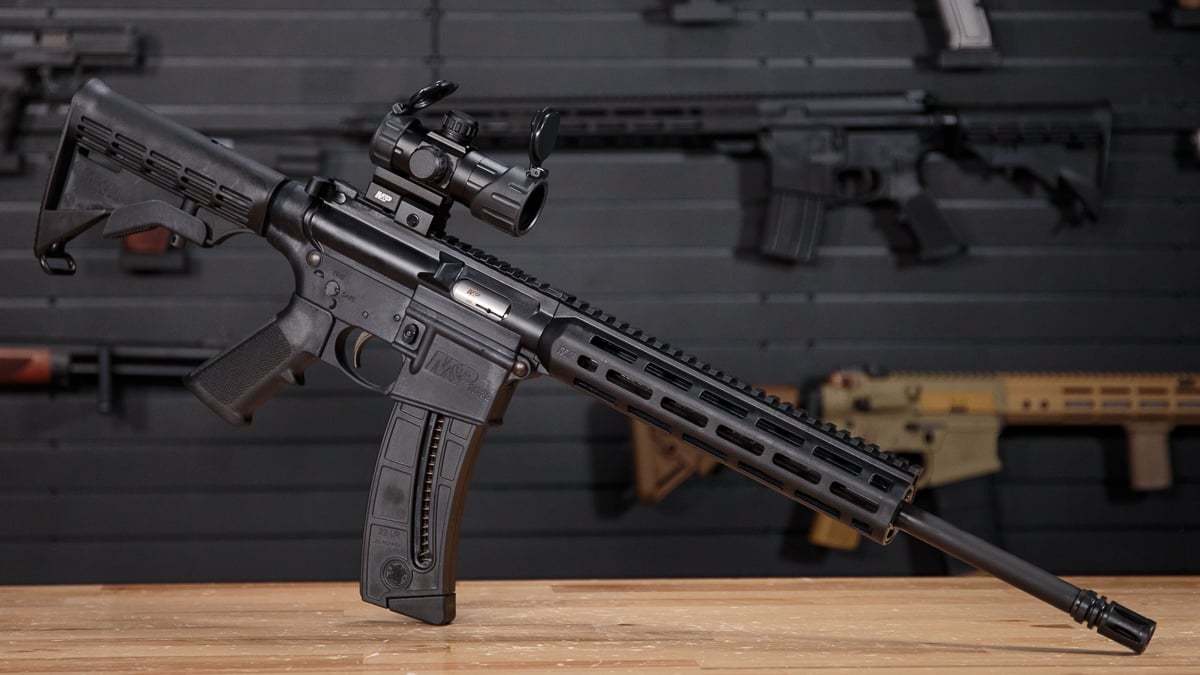 Save on Training with a S&W M&P 15-22 Rifle