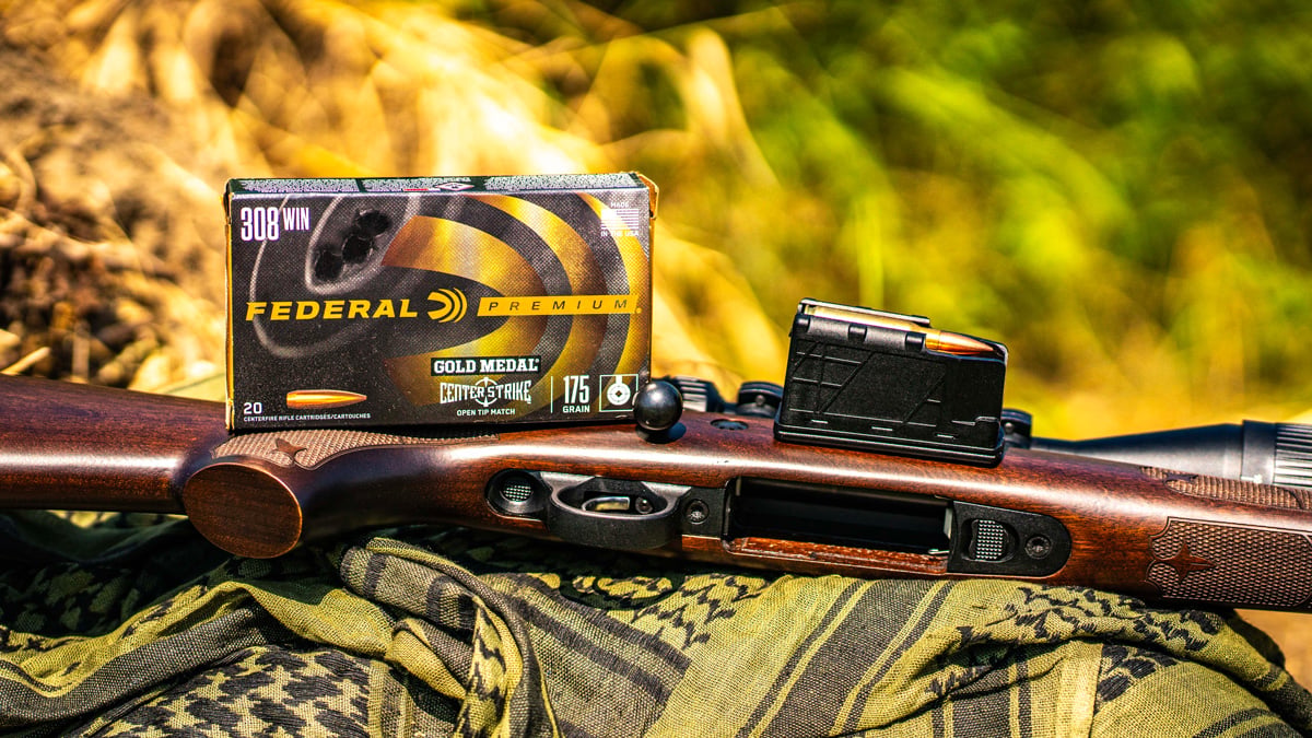 CZ 600+ American Rifle Review: Sub-MOA Accuracy & Class