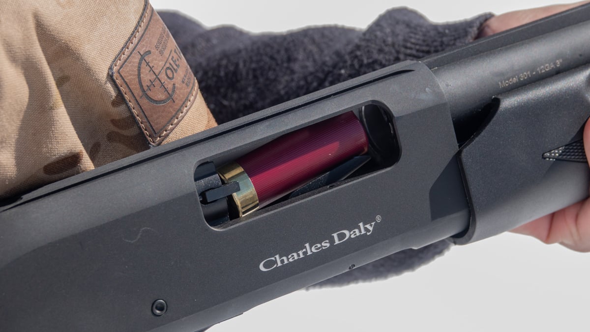 Charles Daly 301: Great First Pump Shotgun