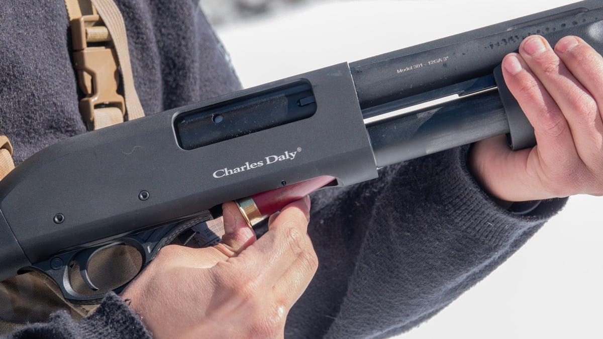 Charles Daly 301: Great First Pump Shotgun