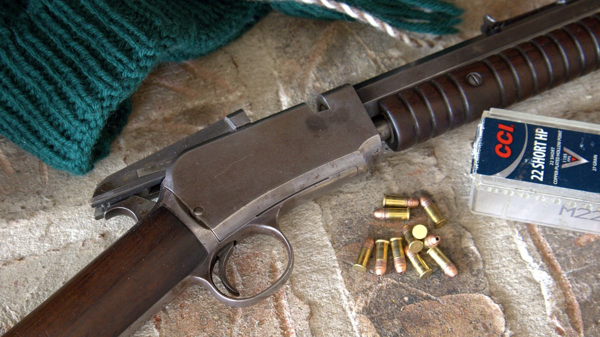 All About .22 Long Rifle: America’s Favorite Rimfire