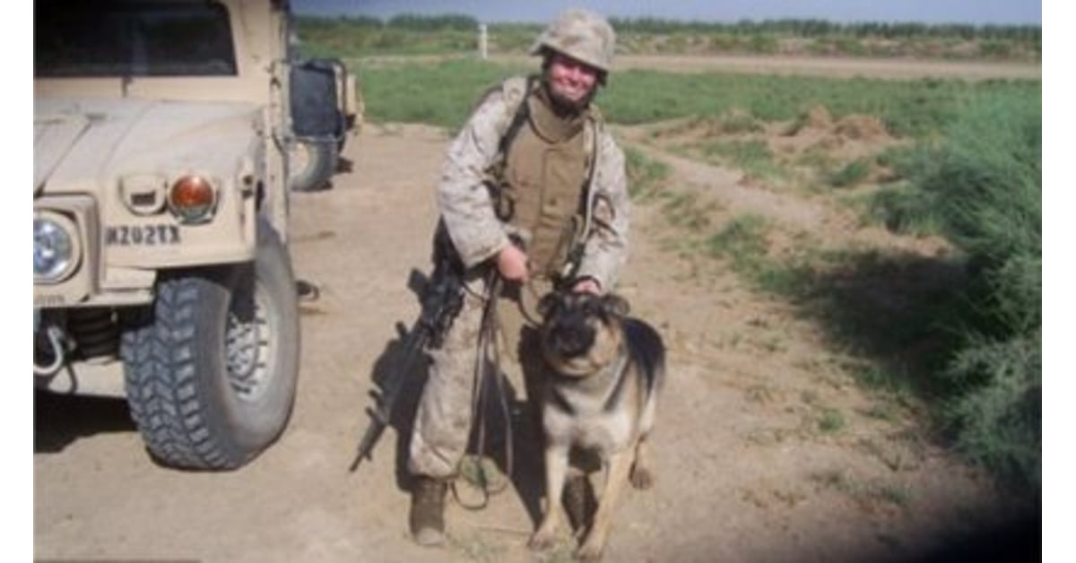 Retired Marine Adopts Dog She Spent Two Tours With :: Guns.com