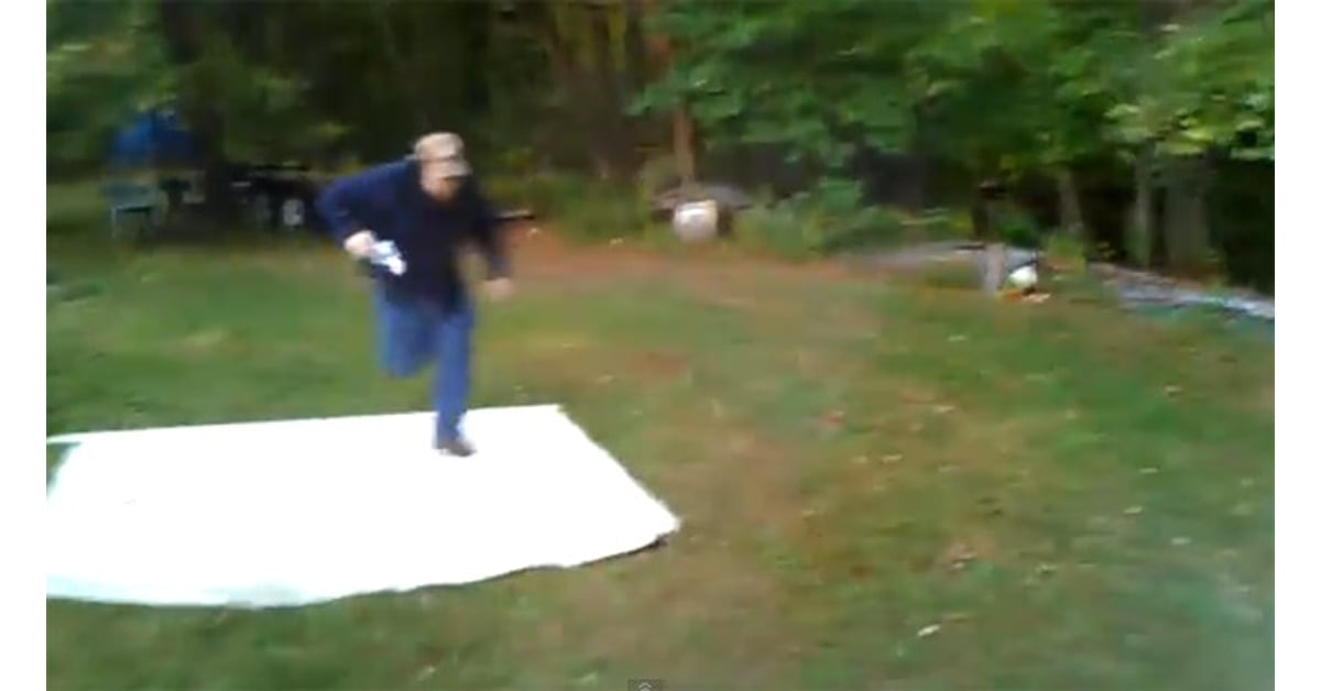 Man shoots tree, tree falls on man (VIDEO)