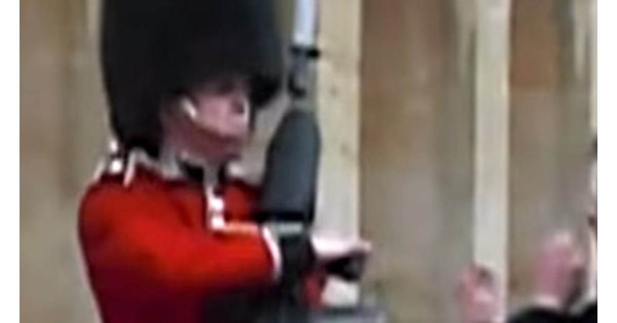 Queen's Guard points gun at stupid tourist (VIDEO)