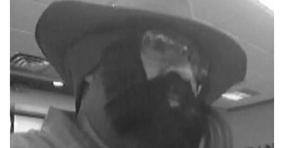 Check out the worst disguises in the FBI's wanted bank robber file (PHOTOS)