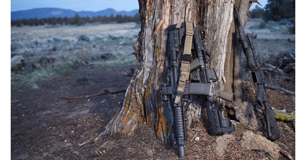 Report: Number of Patriot movement groups declined last year, trend ...