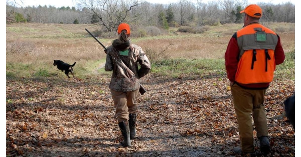 New York: 2016 hunting season the safest on record